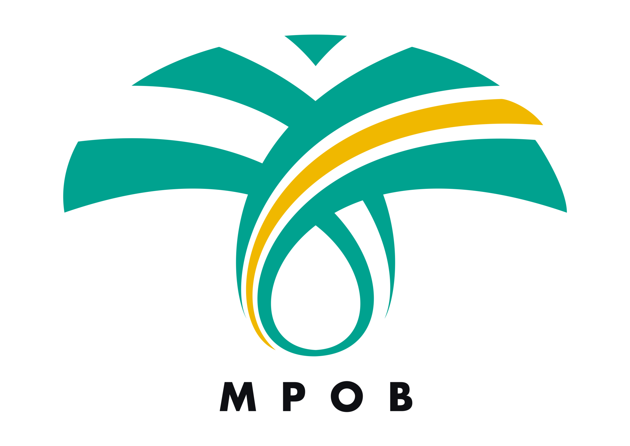 Management Teams – MSPO